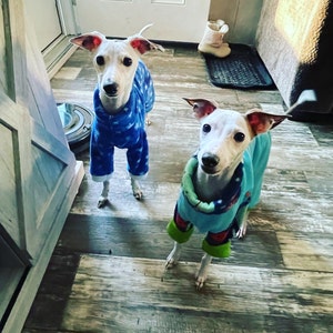 Italian Greyhound Rib Knit Pjs | Etsy