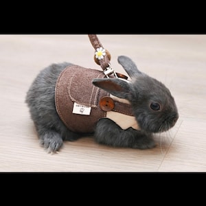 Mini Dot Pattern Harness for Only Rabbit Bunny, Dress Harness and Leash ...
