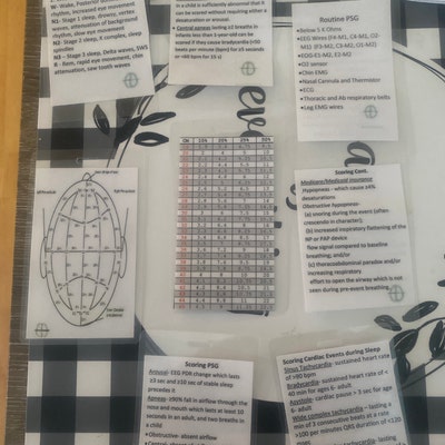 Routine EEG Cheat Sheet - Etsy