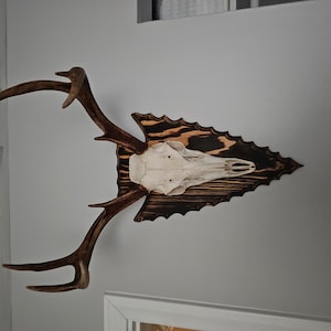 Euro Mount Pedestal - Etsy