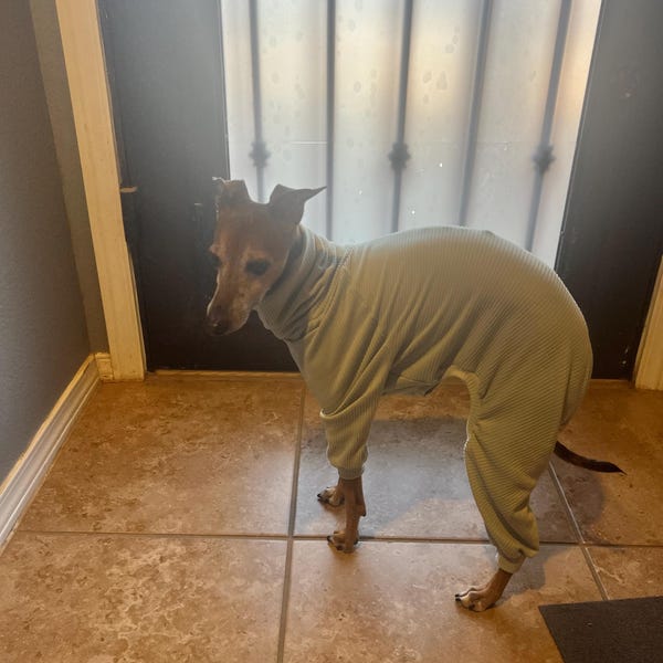 Italian Greyhound Rib Knit Pjs - Etsy