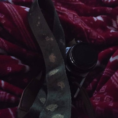 Park Ranger Hat Sticker, National Park Sticker, Travel Souvenir, in ...