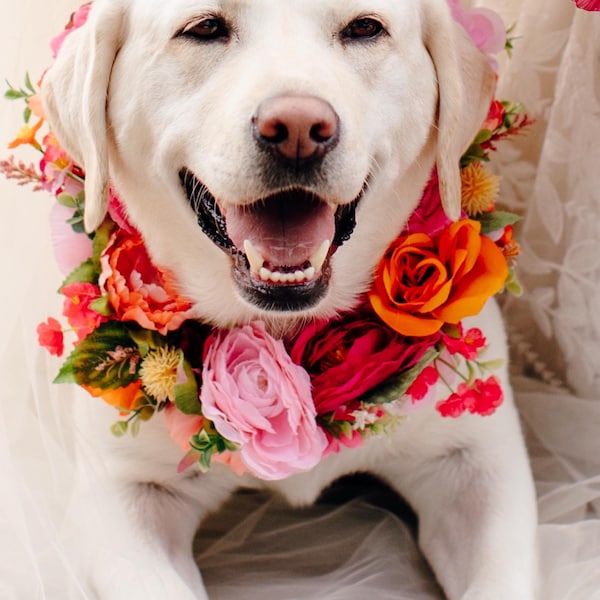 100% CUSTOM Pet Flower Collar, Flower Crown, Pet Wreath • Faux Florals ...