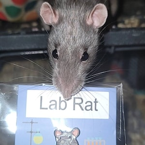Lab Rat Vinyl Sticker 2 Inch - Etsy
