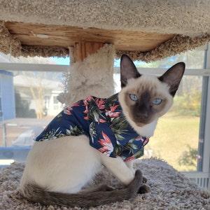 Summertime Aloha Shirt for Cats - Etsy