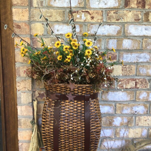 Mini Mountain Daisy Bush / Spray in Yellow -18" High - Spring & Summer ...