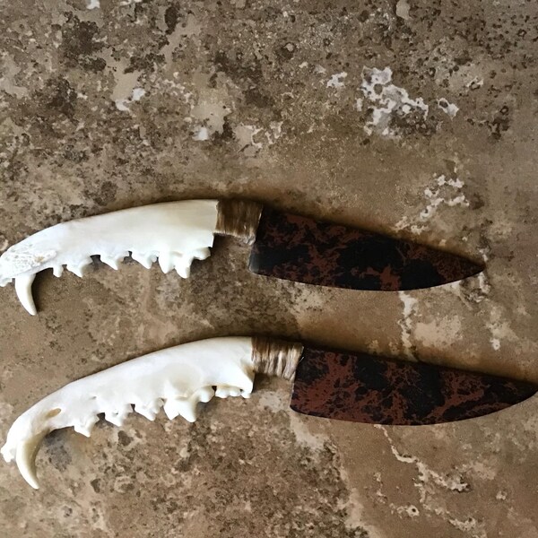 10 Deer Distal Phalanx Bones Phalanges Knuckle Bones - Etsy