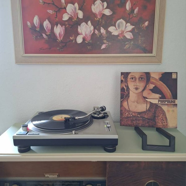 Unique Vinyl Rack, Wood Vinyl Records Storage, Modern Design ...