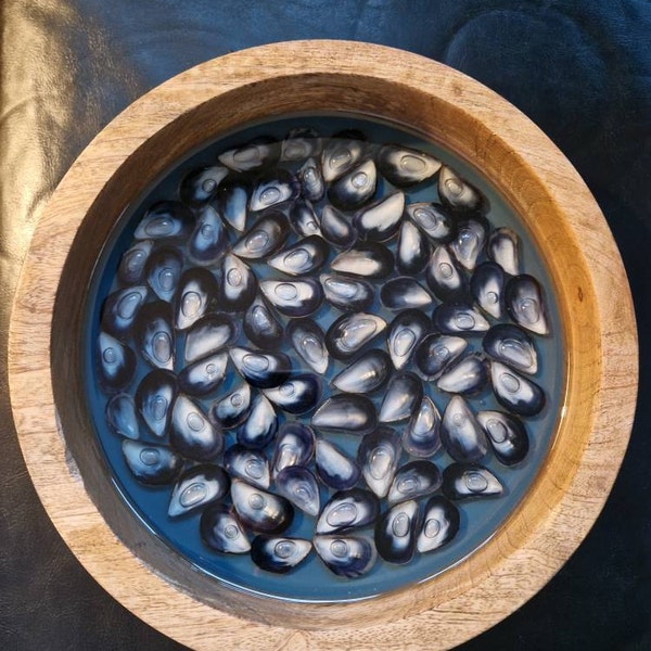 Mussel Shell Artwork, Sea Shell Art, Beach House, Sea Inspired, Ocean ...