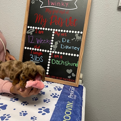 Veterinary First Visit Chalkboard Vet Visit Chalkboard Pets First Visit ...