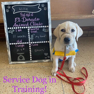 Veterinary First Visit Chalkboard Vet Visit Chalkboard Pets First Visit ...