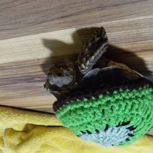Basketball Crochet Costume for Turtles/ Tortoises - Etsy