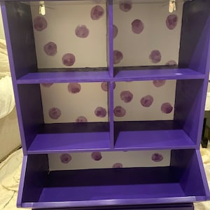 ROZAY Metallic Paint MOONSHINE Dixie Belle Metallic Paint - Etsy