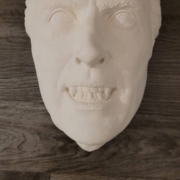 Life Face Cast of Mark Hamill Luke Skywalker Realistic Style - Etsy