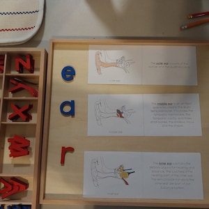 Rhyming Words & Pictures Level 1 Montessori Language Printable ...