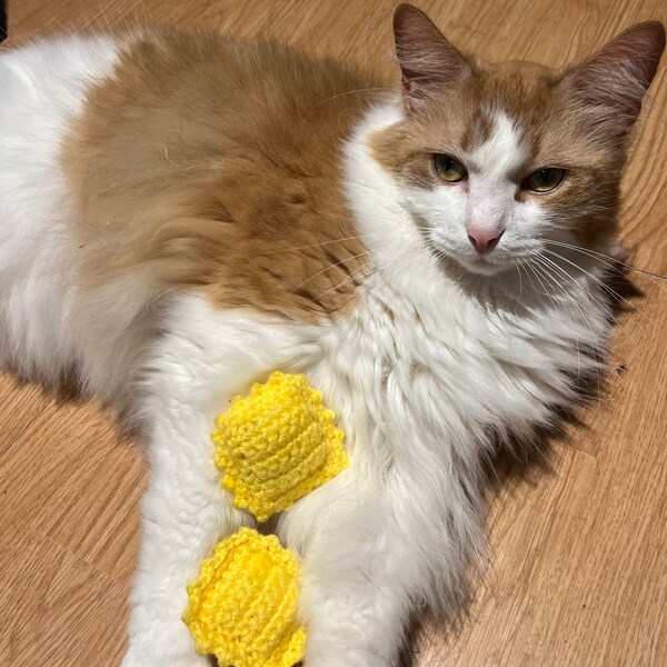 Rock Climbing Card Bouldering Climbing Gift Climbing Pun Climber ...