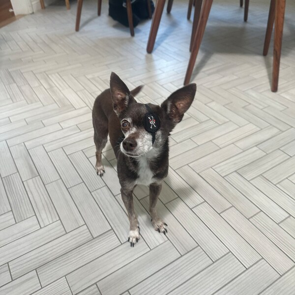 Cat Eye Patch Cotton Custom Designs Cotton Fabric NO Felt - Etsy