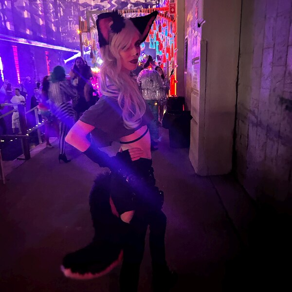 Made to Order Sonic & Shadow Ears – Cosplay Headband Inspired by Sonic ...