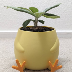 Baby Chick in a Broken Egg Planter 3D Printed Animal Plant Pot ...