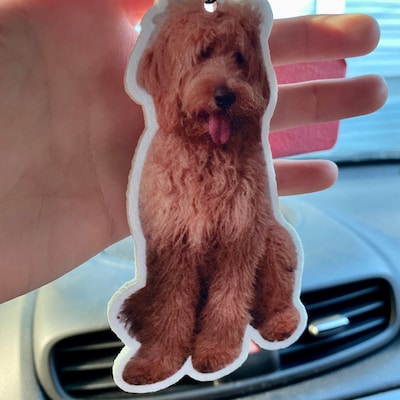 Funny Air Freshener Flaming Eye Freshener Cute Air - Etsy