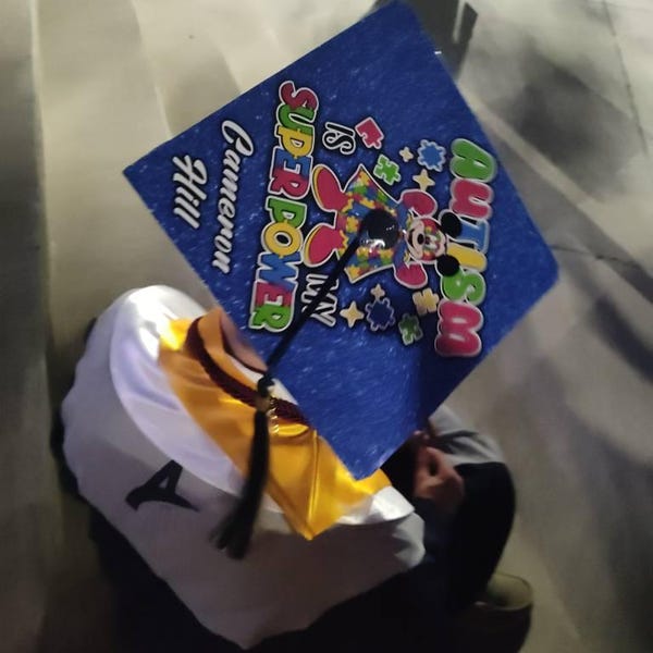 Sonic, Shadow Graduation Cap Topper - Etsy