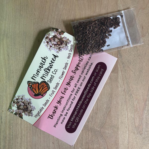 CLOVER SEED BUNDLE | Five Unique Clover Seed Packets | Native ...