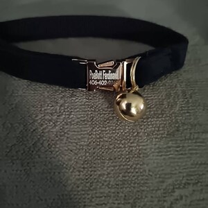 Custom Cat Collar Bell Bow in Blue Corduroy/velvet - Etsy