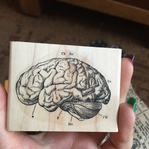 Human Brain-anatomy Rubber Stamp WM P27 - Etsy
