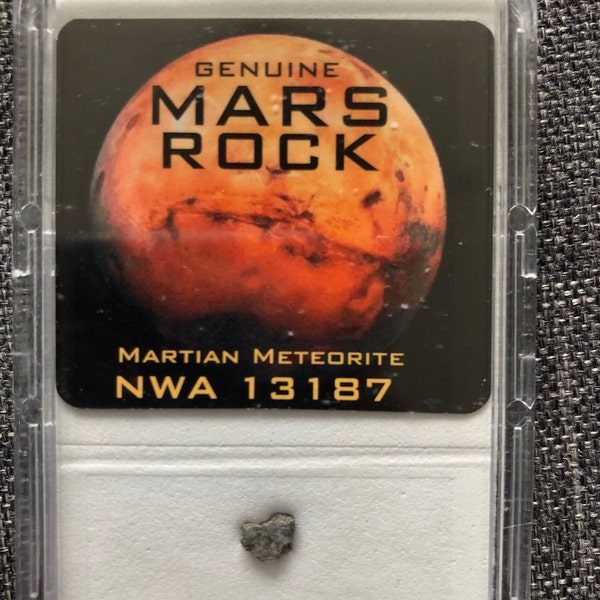 Spacex & ISS Flown NASA Vector Label - Flown in Space - NASA - Etsy