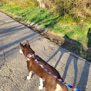 Treeline Dog Collar Trees Forest Nature Outdoors | Etsy