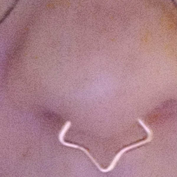 16G Horseshoe Septum Ring /nose Ring Piercing Jewelry/ Earrings /lip ...