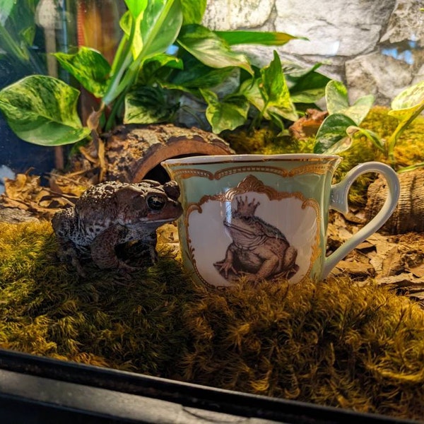 Frog King Teacup and Saucer Set, Vegan Bone China. Durable and Food ...