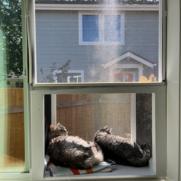 Catio - Fully Built Custom Window Viewing Box Patio for Cats - Etsy