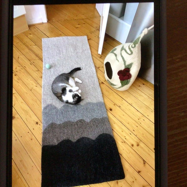 Wool Felt Yoga Mat for Meditation, Exercise and Kids Play in Hand ...