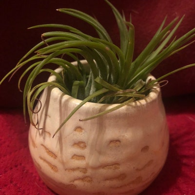 Geometric Modern Horizontal Line Pot/vessel/plant Pot/air - Etsy