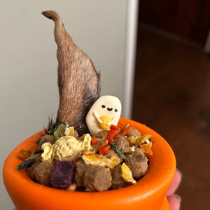 Chicken Head Whole Dehydrated, 25 Pack, Treats Chews Bone - Etsy