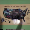 Cryptids of the United States Map 24x36 Glossy Print - Etsy