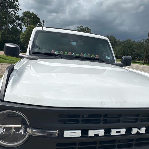 Sasquatch Bronco Accessories Bucking Bigfoot Gift Youve Been Bucked ...