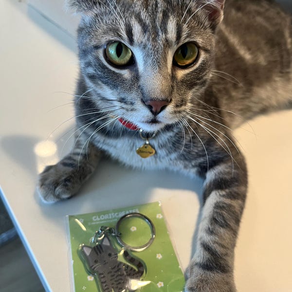 Smoke Gray Tabby Cat Acrylic Pet Breed Keychain | Cartoon Chibi Animal ...