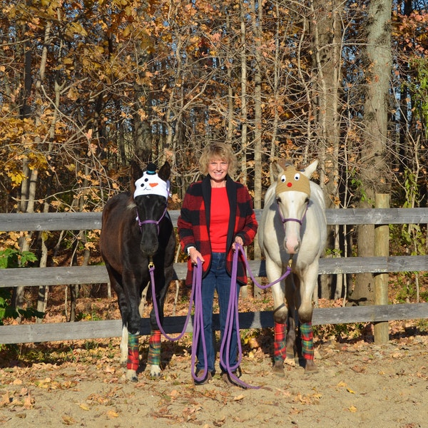 Horse Bonnet - Horse Snowman Hat - Horse Clothing - Snowman Hat ...