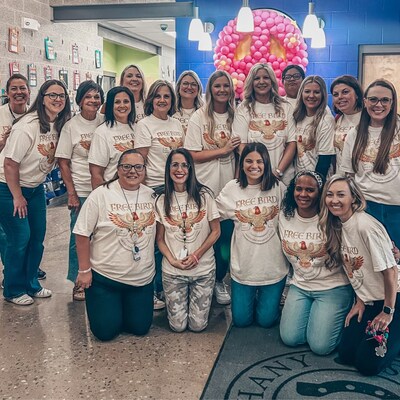 Free Bird Shirt, Comfort Colors Band Tshirt, Old School Band T-shirt ...