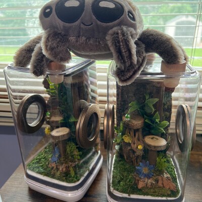 Jumping Spider Enclosure 5x5x9 Spider House, Spider Tank, Spider ...