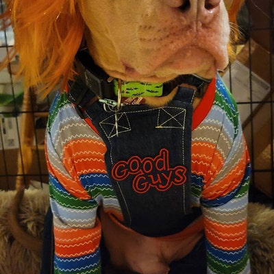 Toddler Baby Lil Rainbow Stripe Good Buddy Horror Shirt - Etsy