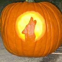 Printable Pumpkin Stencil for Carving JAWS Shark and Swimmer - Etsy Canada