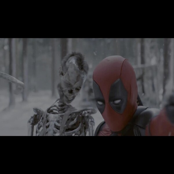 Custom Captain Morgan Spiced Rum Label 750ml Canva Template - Etsy