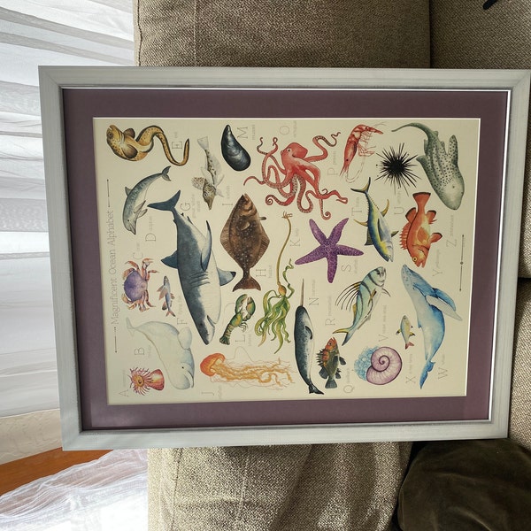 Bird Alphabet Poster - Etsy