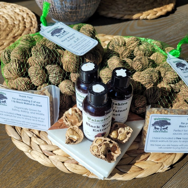 Black Walnut Shell Halves Perfect for Crafts or Jewelry - Etsy