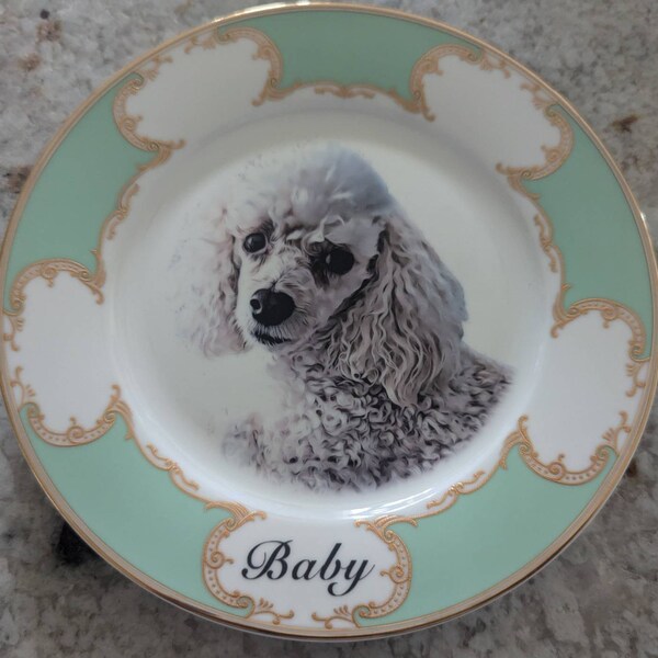 Four 22k Gold Spooky Halloween Potion/spells/witches Brew/poison Teacup ...