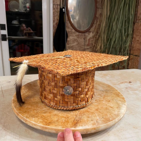 2 Mud Turtle Shells - Etsy