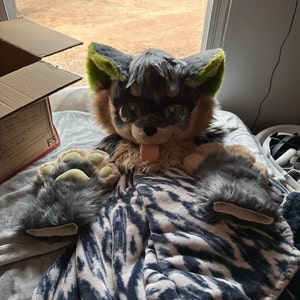 Fursuit Kig Series Furry Fursona Fursuit Full Body Custom Clothing ...